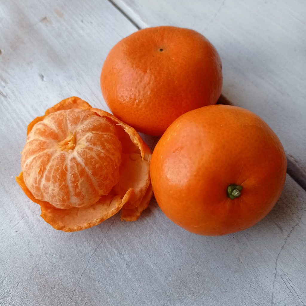 Nadorcott Mandarine